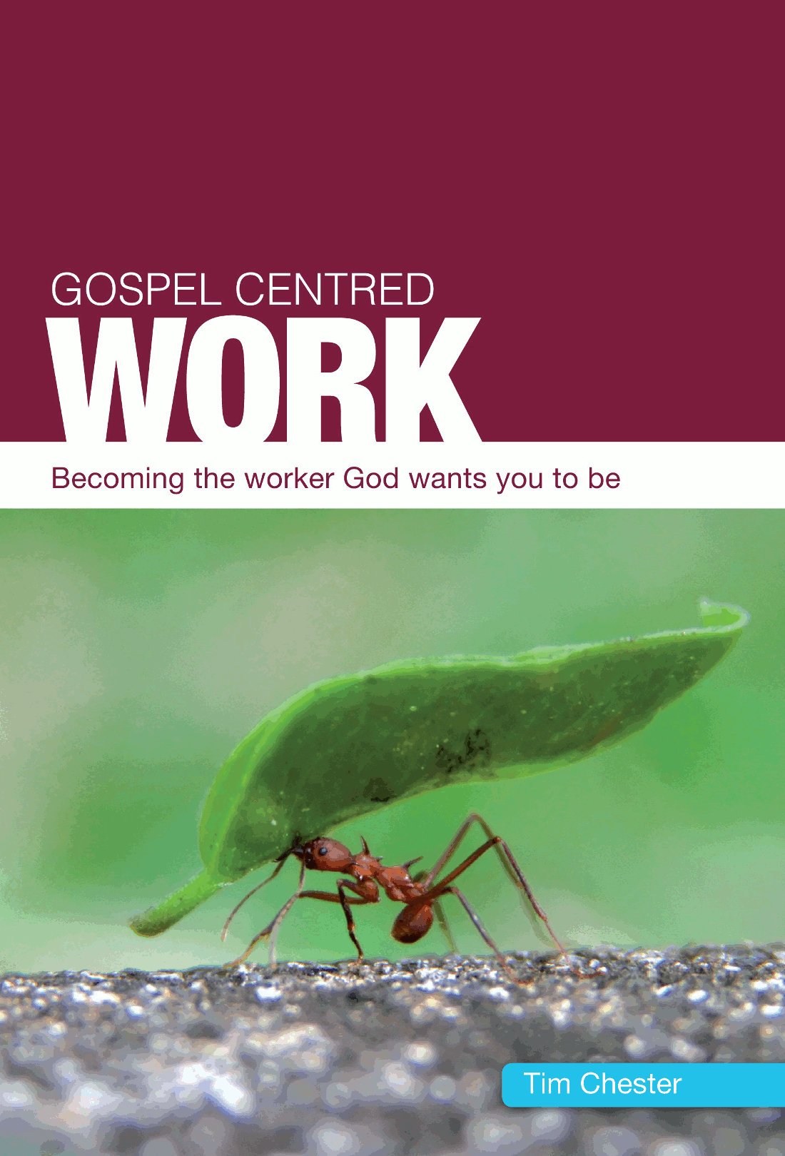 Gospel-Centered Work: Becoming the Worker God Wants You to Be by Tim ...